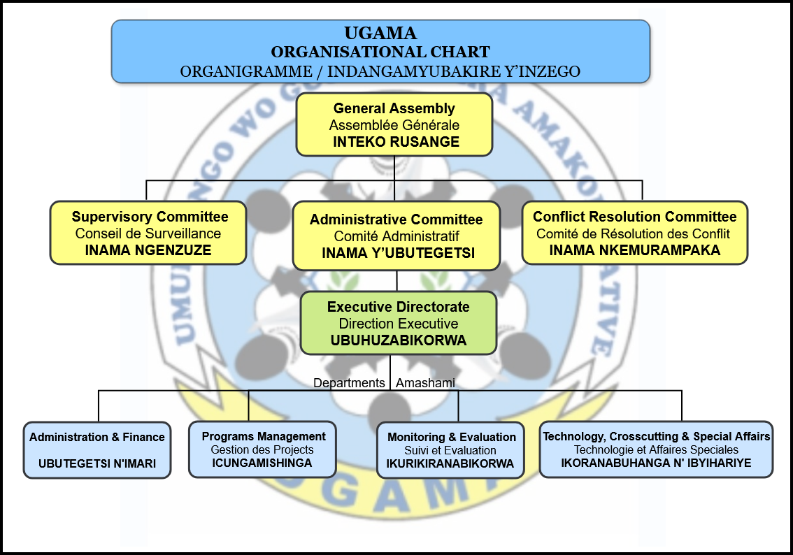 Organisational Structure – UGAMA